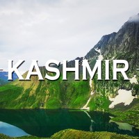 Kashmir RootStock – Real to Roots of Realm