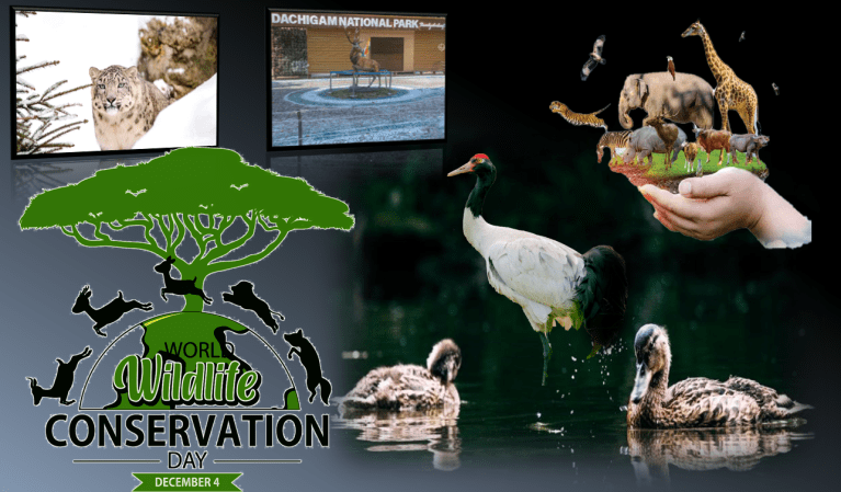 WORLD WILDLIFE CONSERVATION DAY – Kashmir RootStock